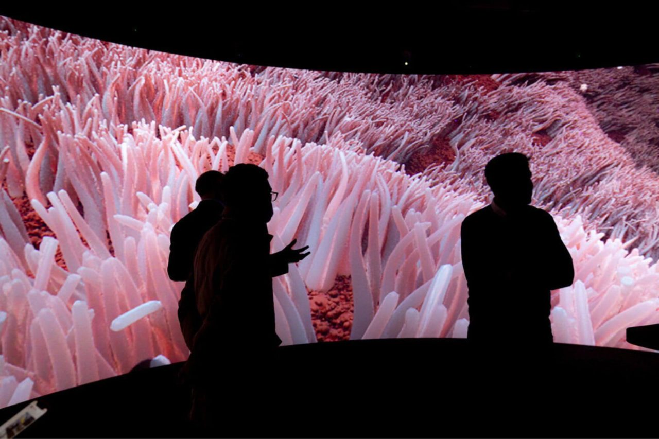 University of Wolverhampton Science Park | Invest West Midlands